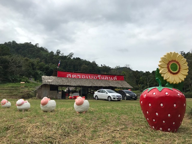 5 must visit places in Mae Rim - international